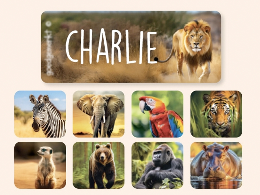 Small Real World Name Stickers - TagMe